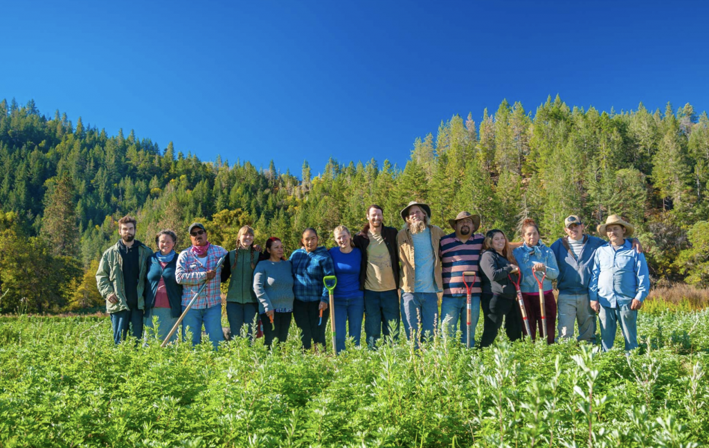 Sun+Earth Series: Oshala Farm - Cannabis News and Culture Magazine Magazine