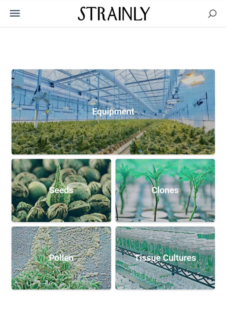 Strainly: the Platform Fostering Cannabis Biodiversity - Cannabis News ...