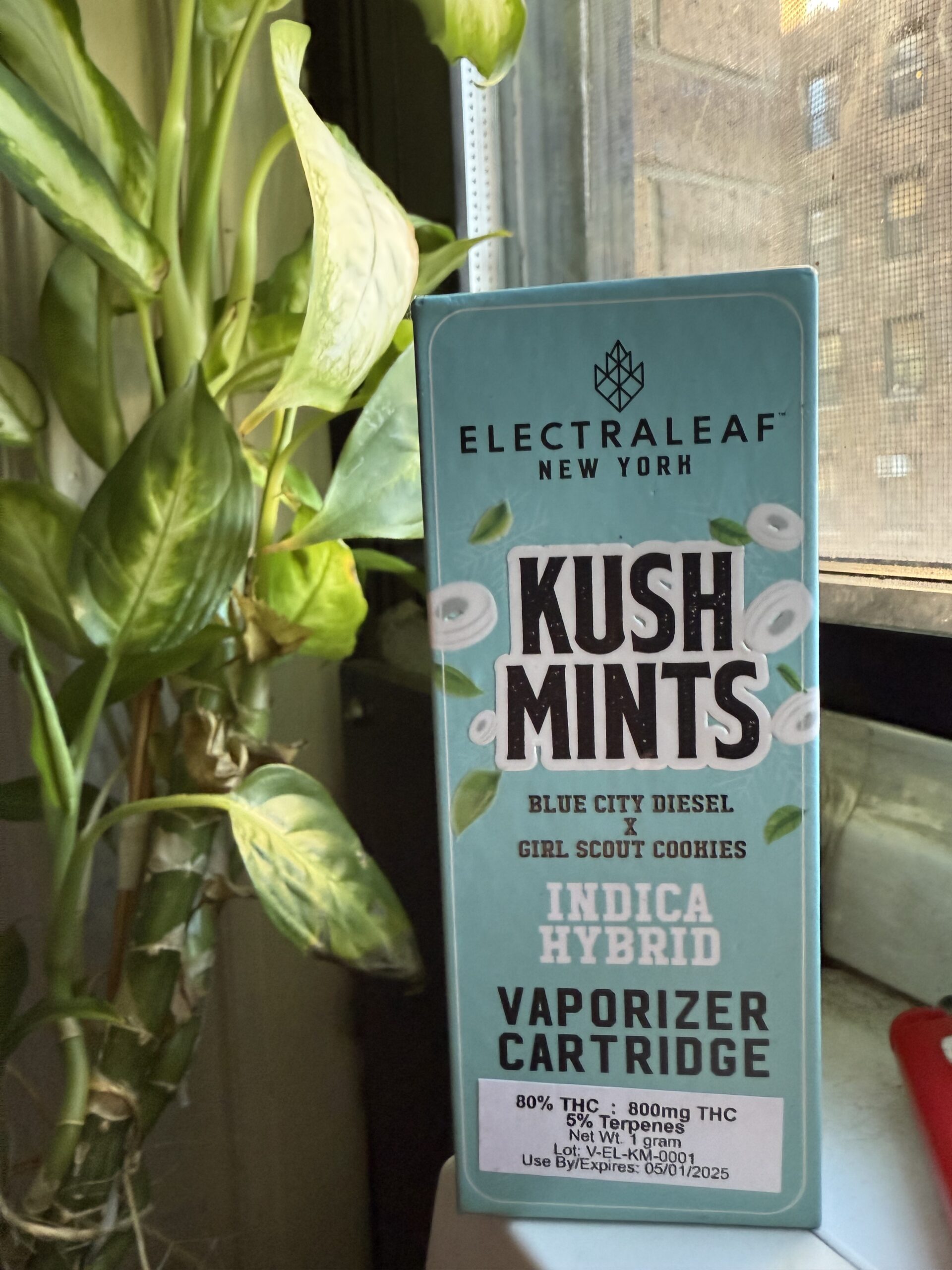 Electraleaf Kush Mints: A Fresh Face in the Empire State - Cannabis ...